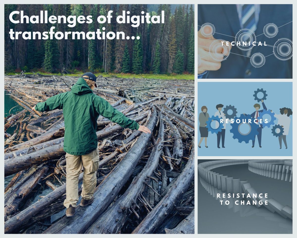 Challenges of Digital Transformation: What You Need to Know